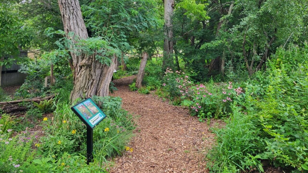 Creation of a New Nature Trail|577 Foundation