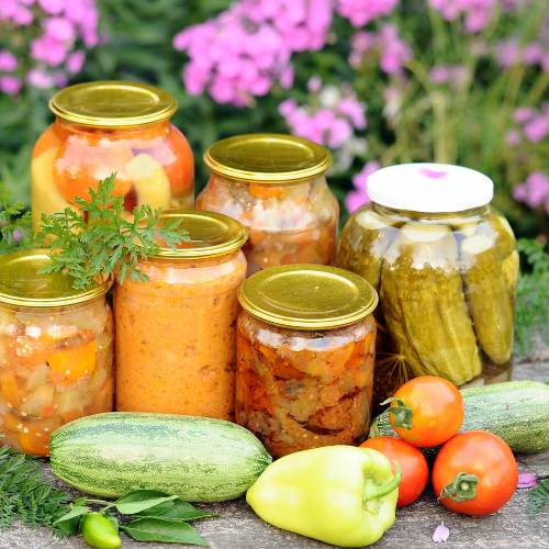 Gardening, Nature, & Conservation - 577 Foundation
