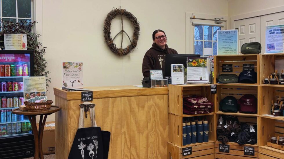 Now Hiring in the Curiosity Shop|577 Foundation